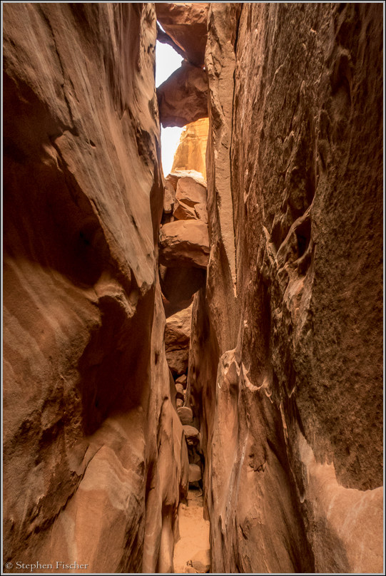 Picture of the week - Stephen Fischer Photography