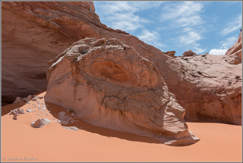 Picture of the week - Stephen Fischer Photography