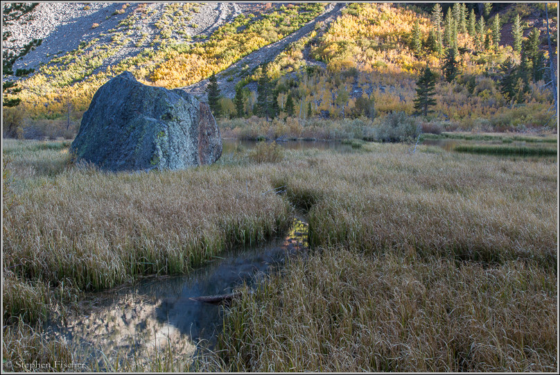 Picture of the week - Stephen Fischer Photography